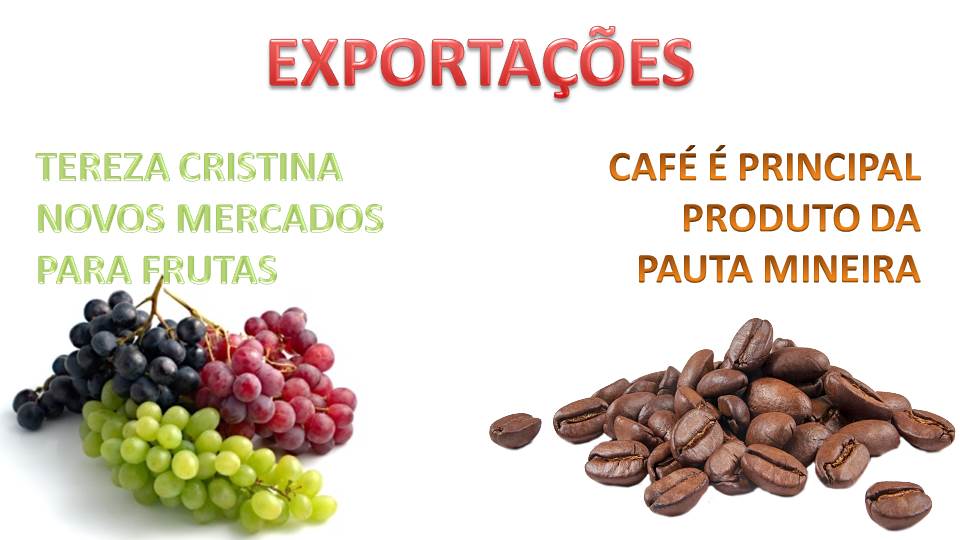 EXPORTAÇÕES DO AGRONEGÓCIO – Destaques – Frutas e Café - Paracatu Rural
