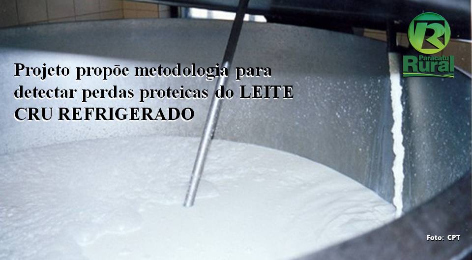 Retrospectiva 2020 – Projeto propõe metodologia para detectar perdas ...