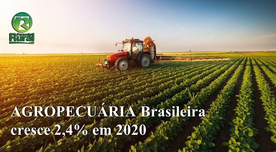 AGROPECUÁRIA Brasileira cresce 2,4% em 2020 - Paracatu Rural