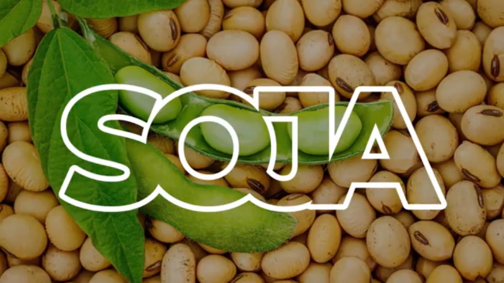 SOJA no Brasil têm melhores níveis de preço e mercado está comprador ...