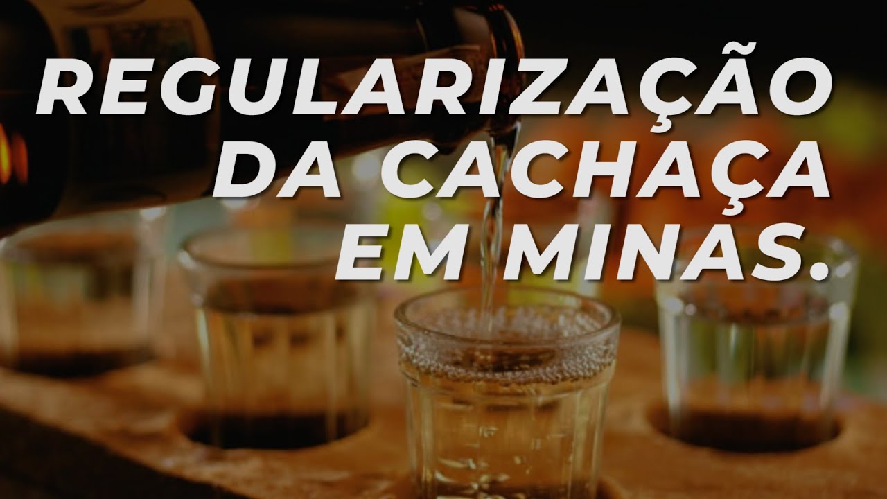 Inspeções do IMA contribuem para a regularização da cachaça no estado ...