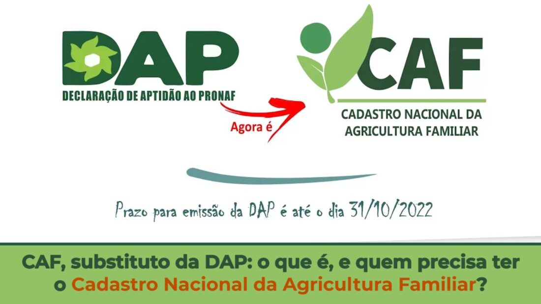 CAF, substituto da DAP: o que é, e quem precisa ter o Cadastro Nacional da Agricultura Familiar ...