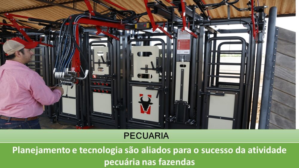Planejamento e tecnologia são aliados para o sucesso da atividade ...