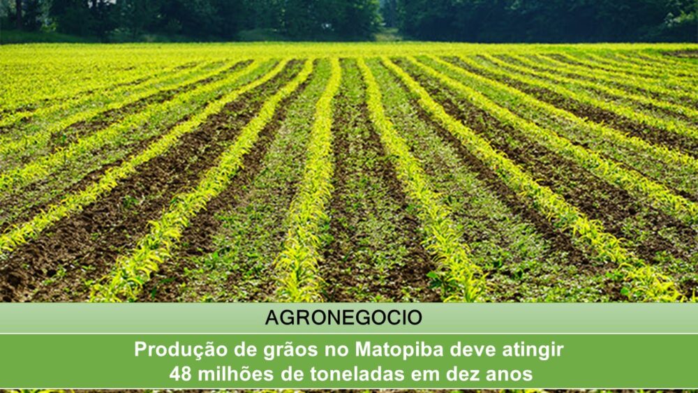 Produção de grãos no Matopiba deve atingir 48 milhões de toneladas em ...
