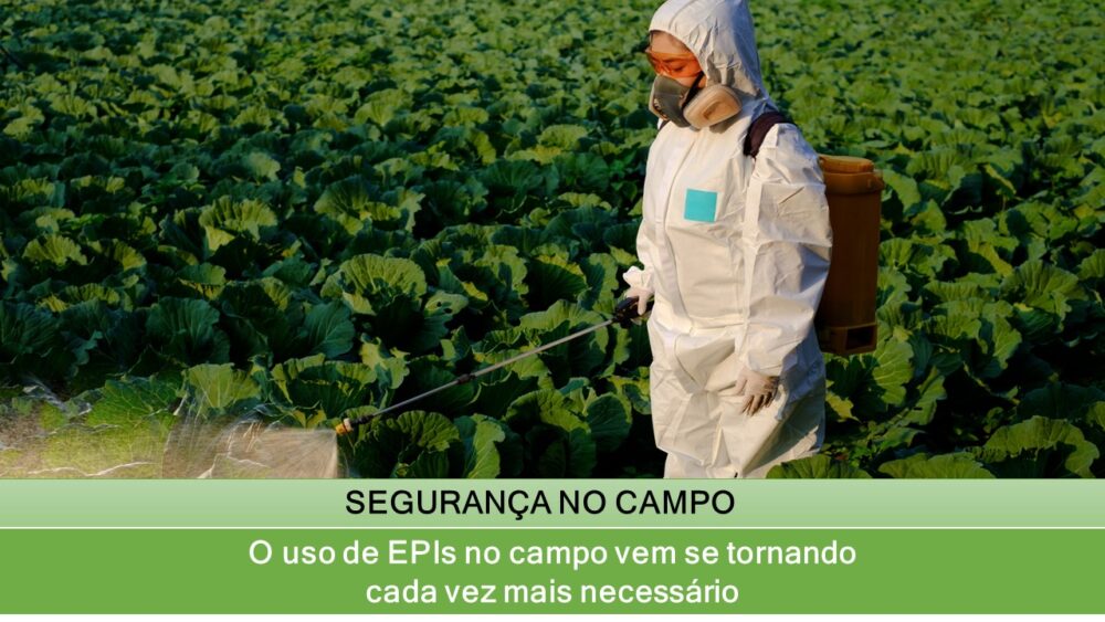 O uso de EPIs no campo vem se tornando cada vez mais necessário - Paracatu Rural