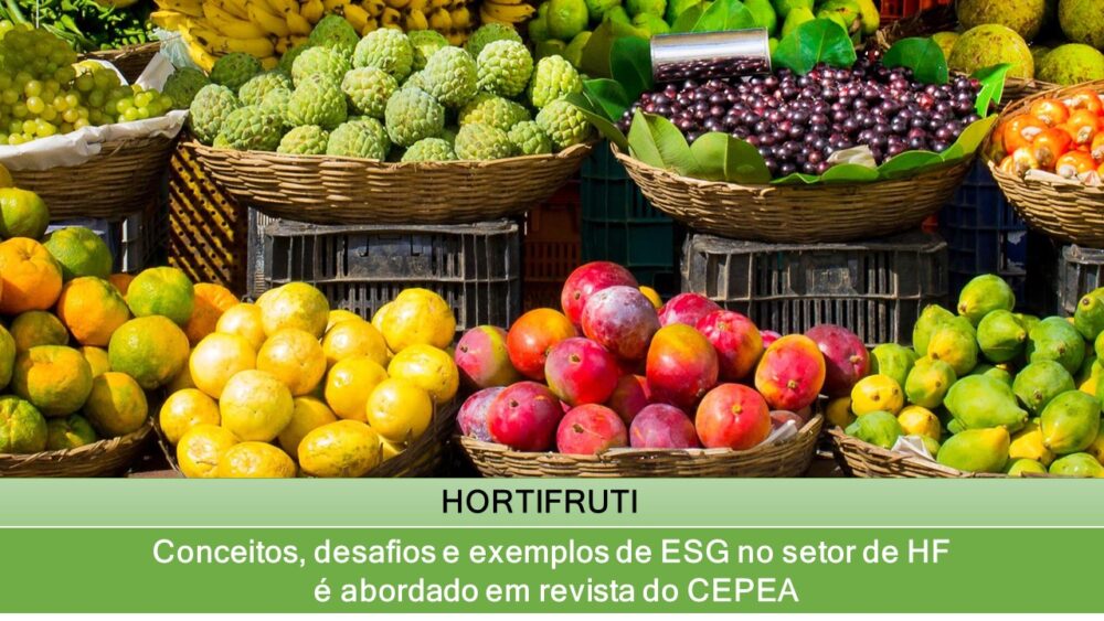 Conceitos, desafios e exemplos de ESG no setor de HF é abordado em ...