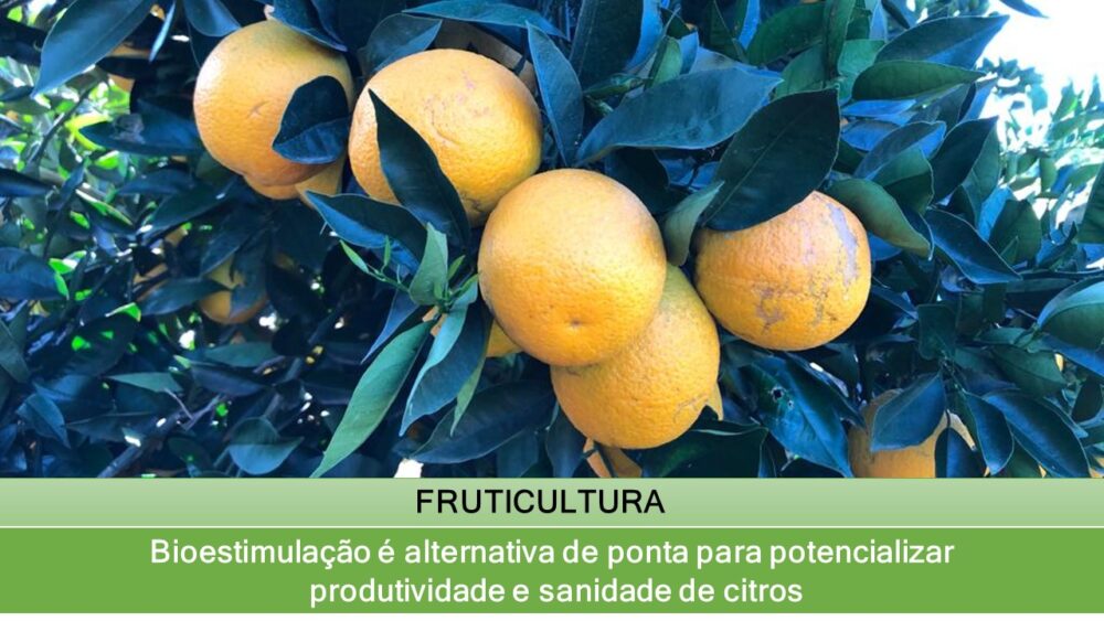Bioestimulação é alternativa de ponta para potencializar produtividade ...