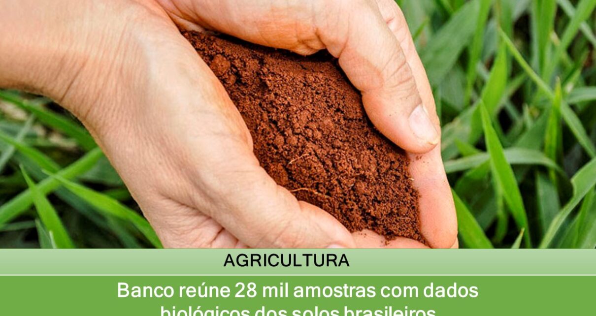 Banco reúne 28 mil amostras com dados biológicos dos solos brasileiros ...