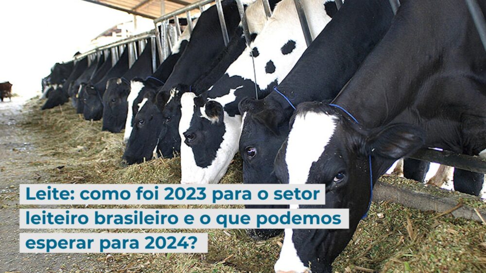 Leite: como foi 2023 para o setor leiteiro brasileiro e o que podemos esperar para 2024 ...