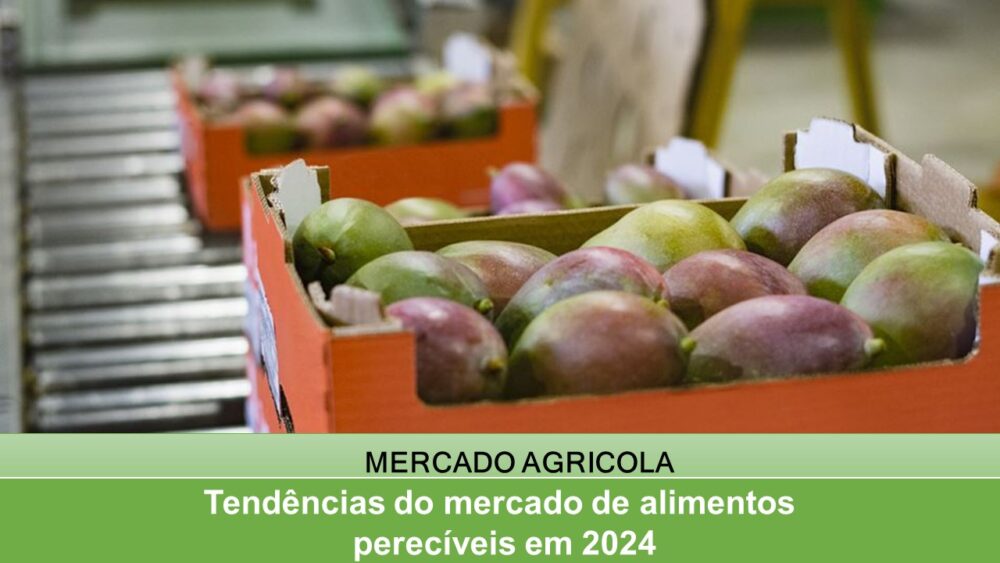 Tendências do mercado de alimentos perecíveis em 2024 - Paracatu Rural