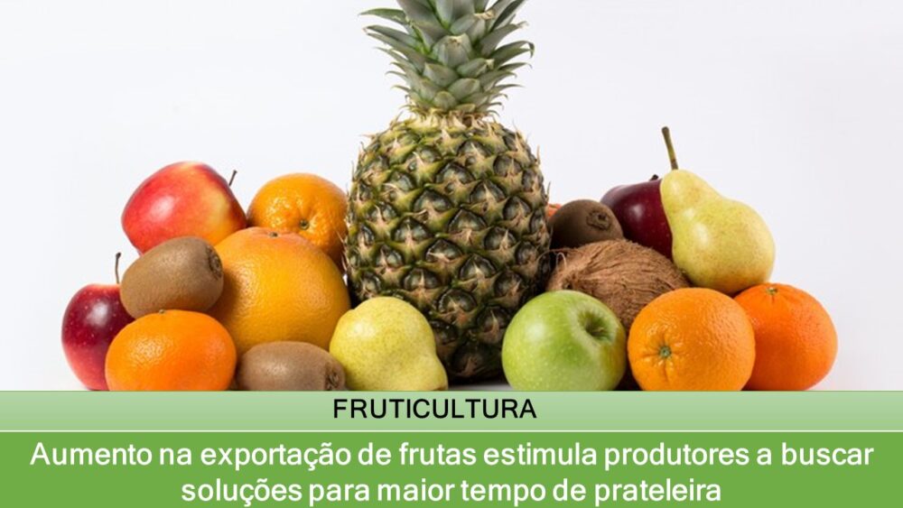 Aumento na exportação de frutas estimula produtores a buscar soluções ...