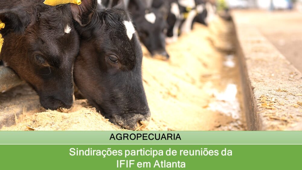 Sindirações participa de reuniões da IFIF em Atlanta - Paracatu Rural