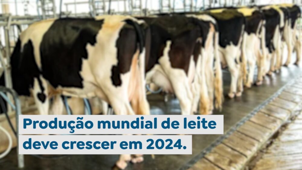 Produção mundial de leite deve crescer em 2024 - Paracatu Rural