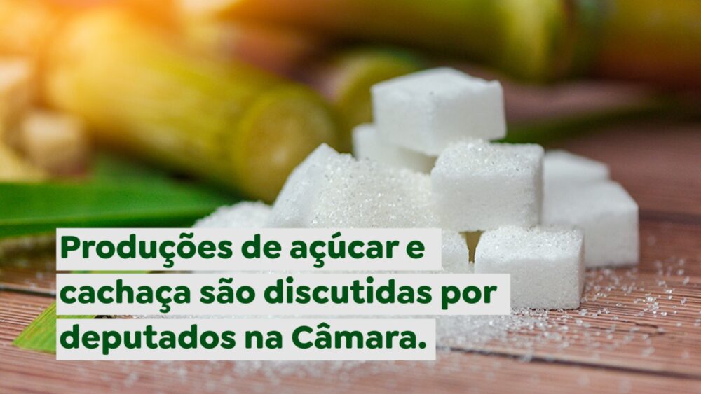 Produções de açúcar e cachaça são discutidas por deputados na Câmara ...