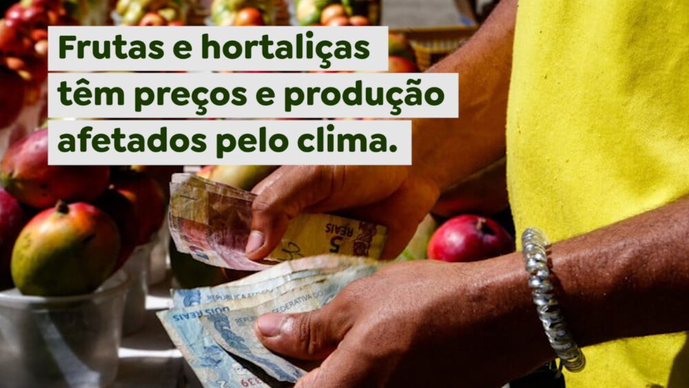 Frutas e hortaliças têm preços e produção afetados pelo clima ...