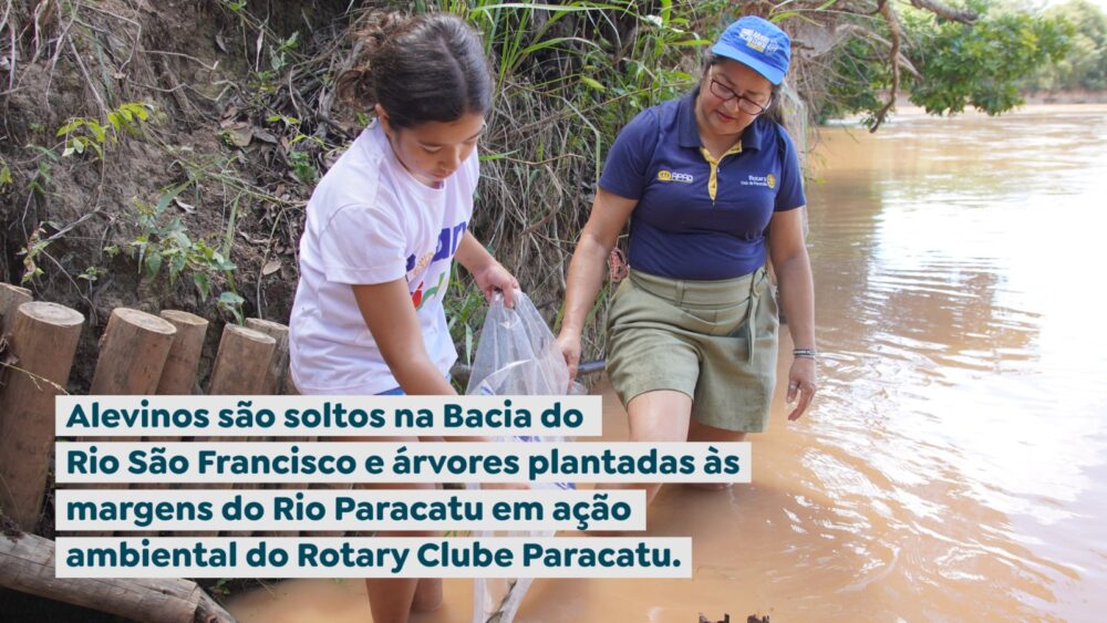 Alevinos são soltos na Bacia do Rio São Francisco e árvores plantadas às margens do Rio Paracatu ...