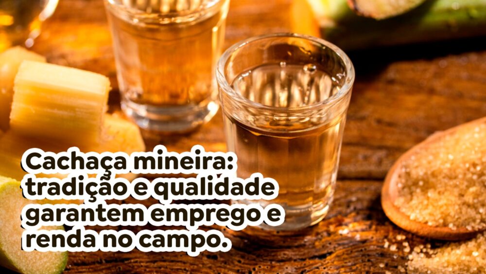 Cachaça mineira: tradição e qualidade garantem emprego e renda no campo ...