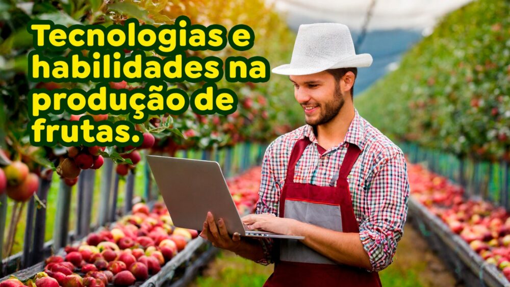 Tecnologias e habilidades na produção de frutas - Paracatu Rural