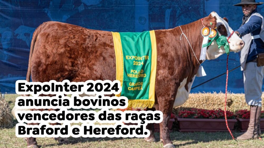 ExpoInter 2024 anuncia bovinos vencedores das raças Braford e Hereford ...