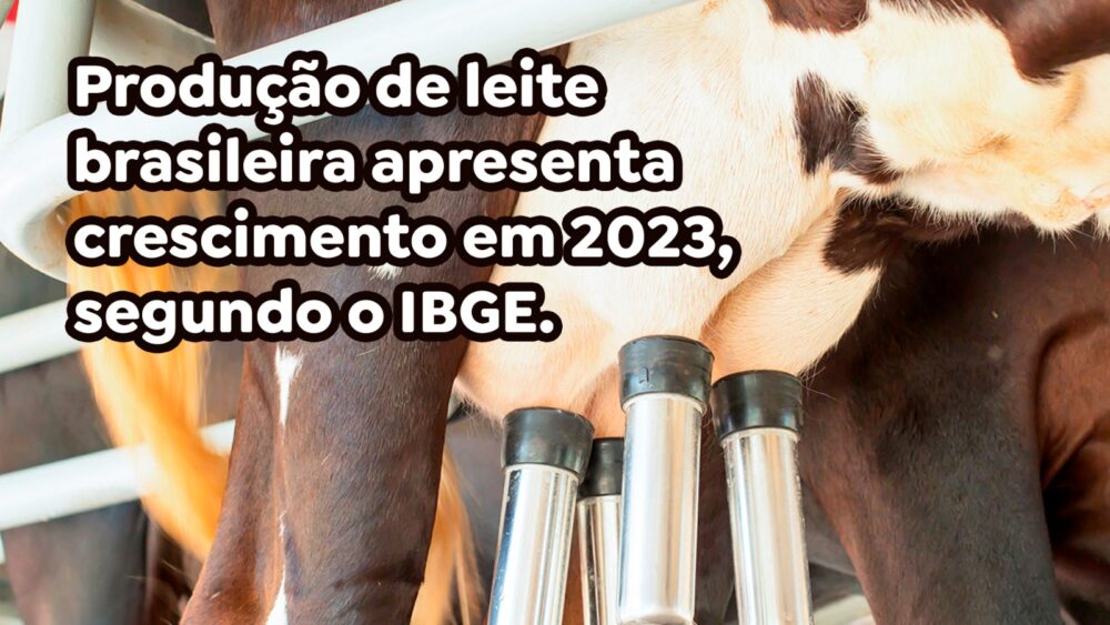 Produção de leite brasileira apresenta crescimento em 2023, segundo o ...