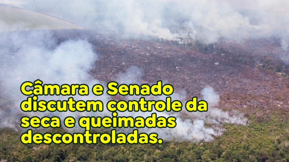 Câmara e Senado discutem controle da seca e queimadas descontroladas ...