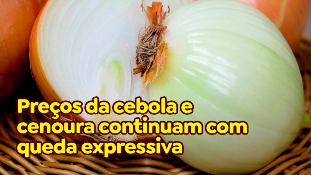 Preços da cebola e cenoura continuam com queda expressiva - Paracatu ...