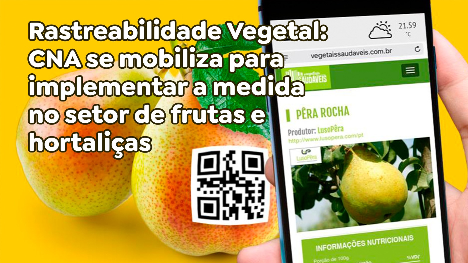 Rastreabilidade Vegetal: CNA se mobiliza para implementar a medida no ...