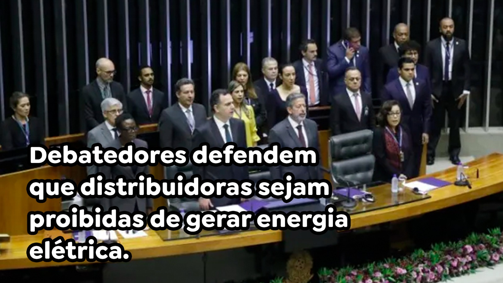 Debatedores defendem que distribuidoras sejam proibidas de gerar ...