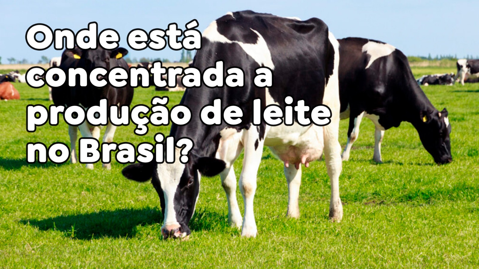 Onde está concentrada a produção de leite no Brasil? - Paracatu Rural