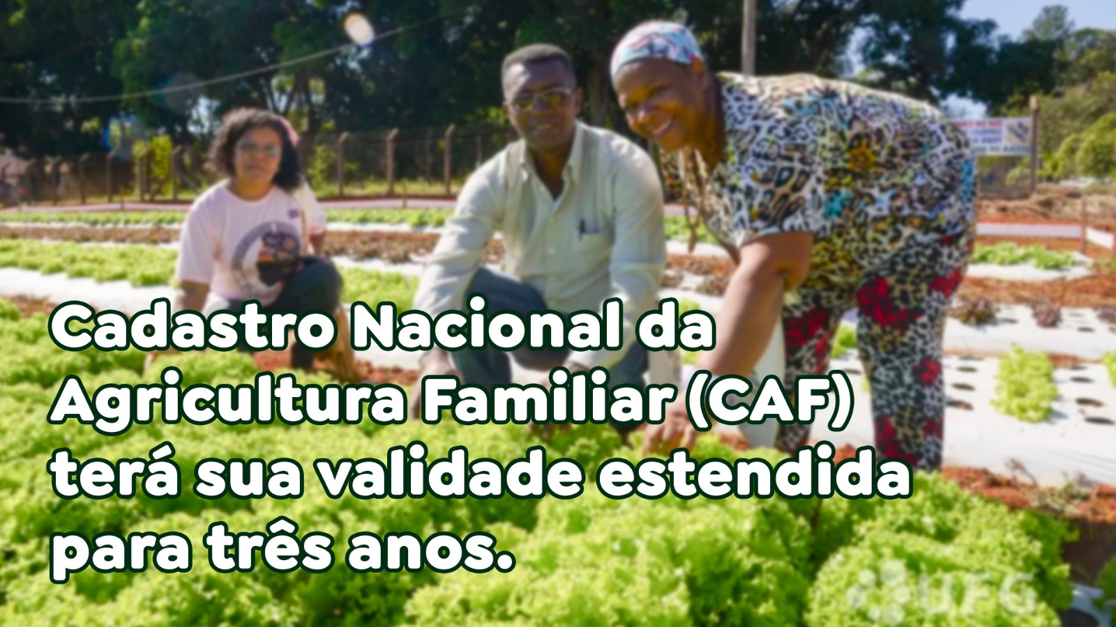 Cadastro Nacional da Agricultura Familiar (CAF) terá sua validade estendida para três anos ...