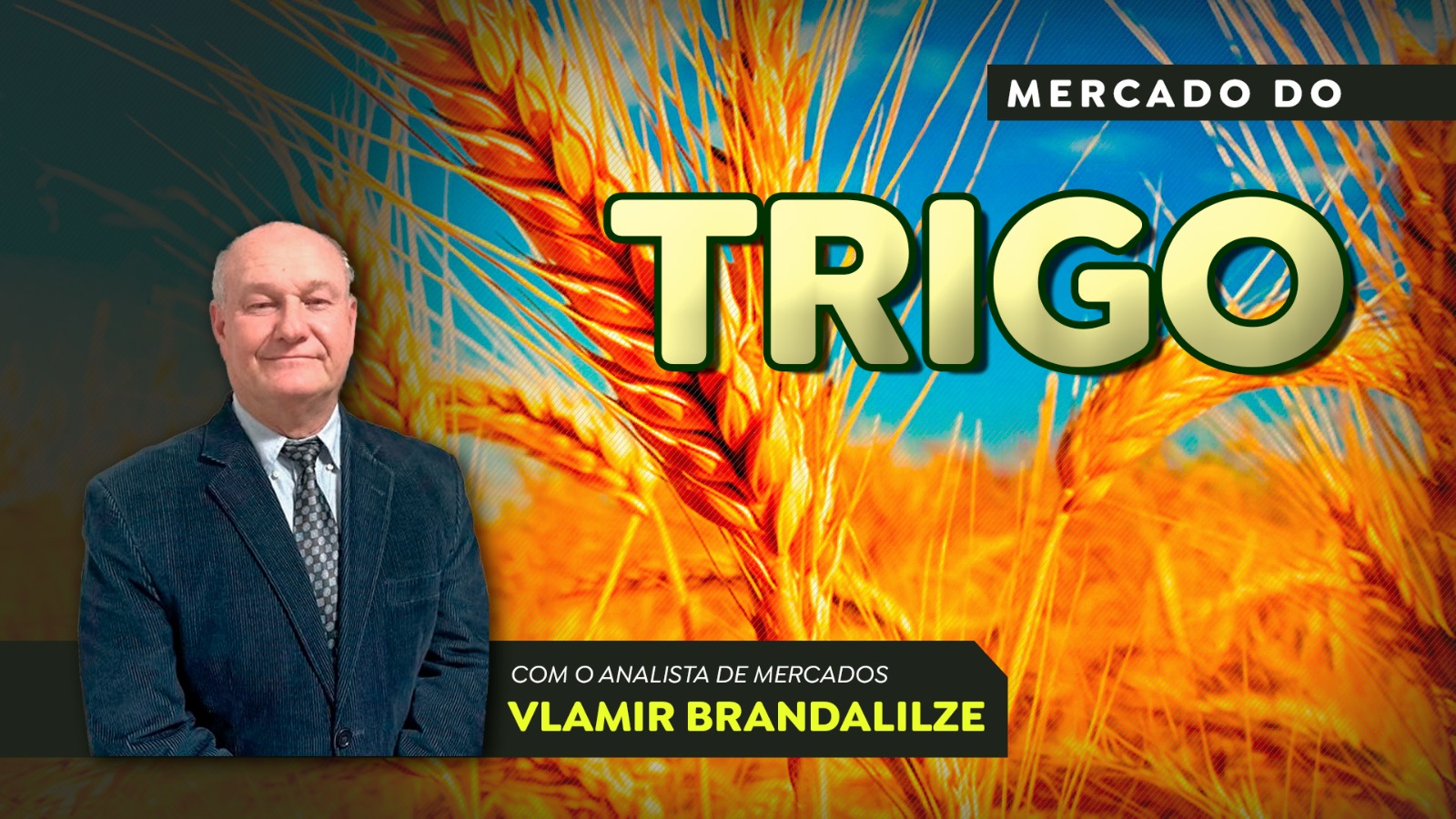 Tonelada do trigo pode ter valorização de até R$300 no próximo ciclo ...