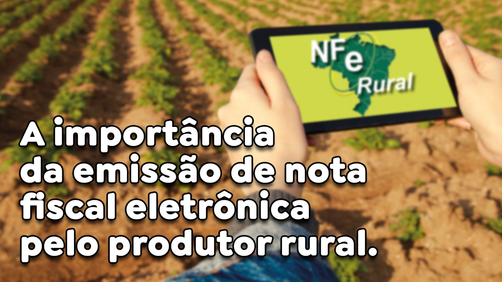 A importância da emissão de nota fiscal eletrônica pelo produtor rural ...