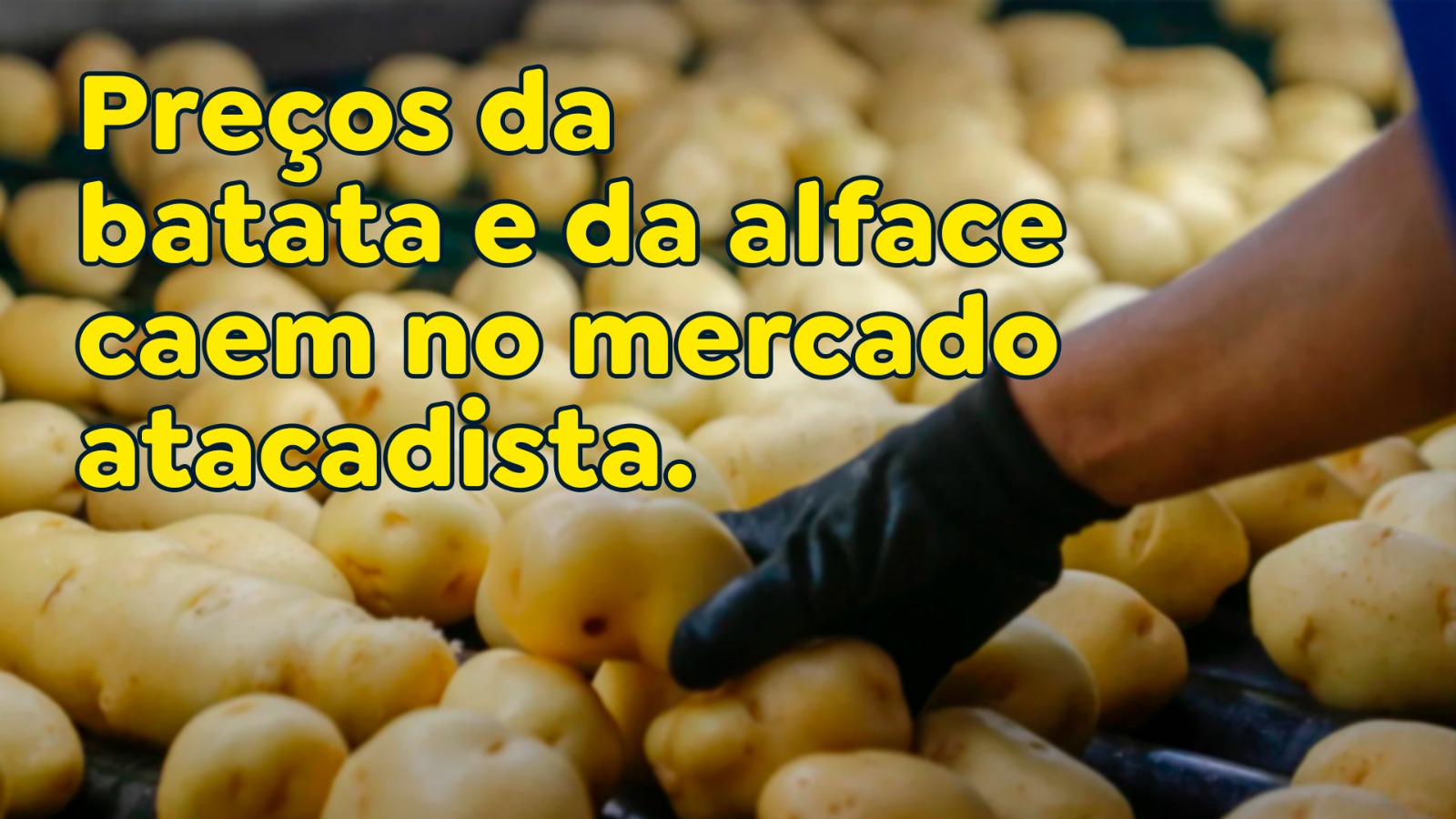 Preços da batata e da alface caem no mercado atacadista - Paracatu Rural