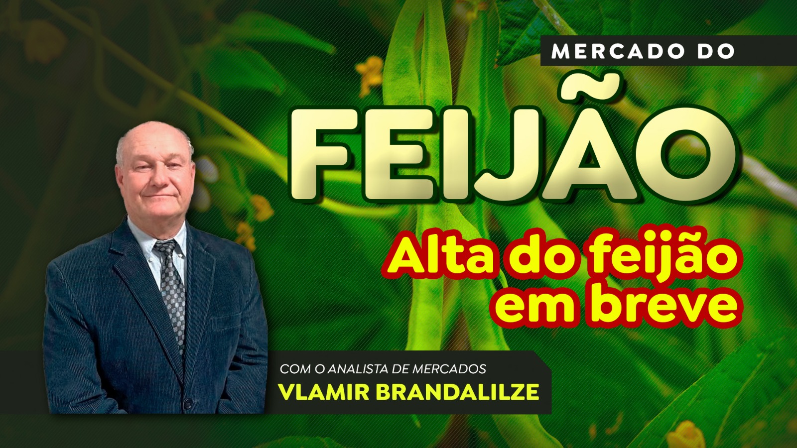 Alta do feijão deve ser mais expressiva na última semana de junho ...