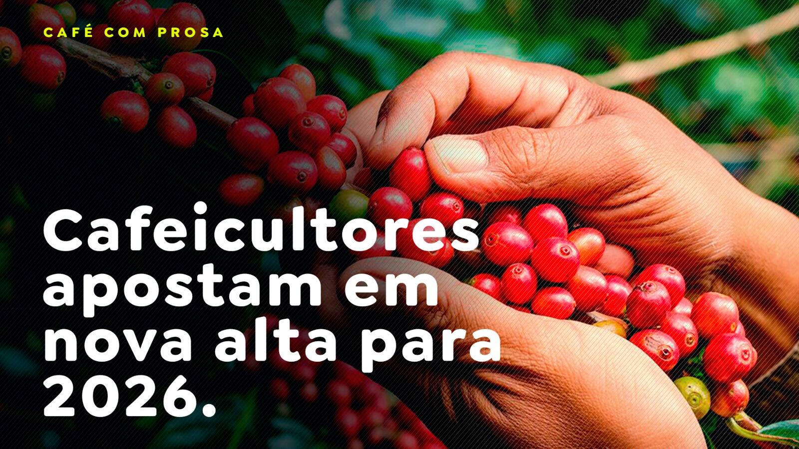 Cafeicultores apostam em nova alta para 2026 - Paracatu Rural